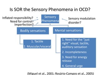 Ayelet Ben Sasson - Sensory Over-Responsivity and OCD | PPT