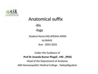 Anatomical suffixes ( - itis , - logy ) | PPTX
