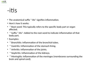 Anatomical suffixes ( - itis , - logy ) | PPT