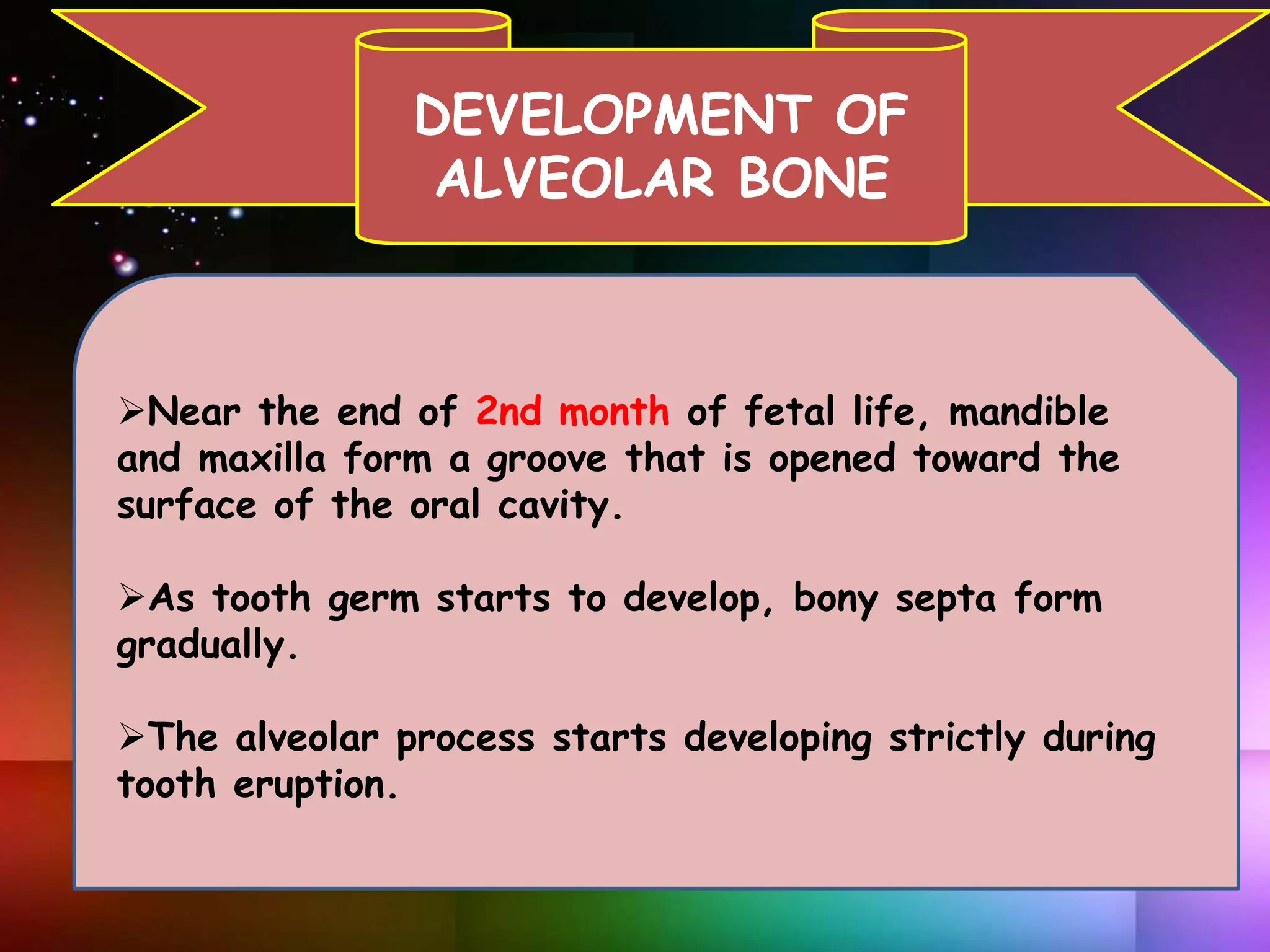 Alveolar bone_ Dr. Ayesha Taha | PPTX