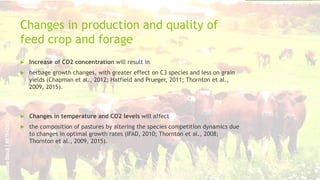 Climate Change presentation.pptx