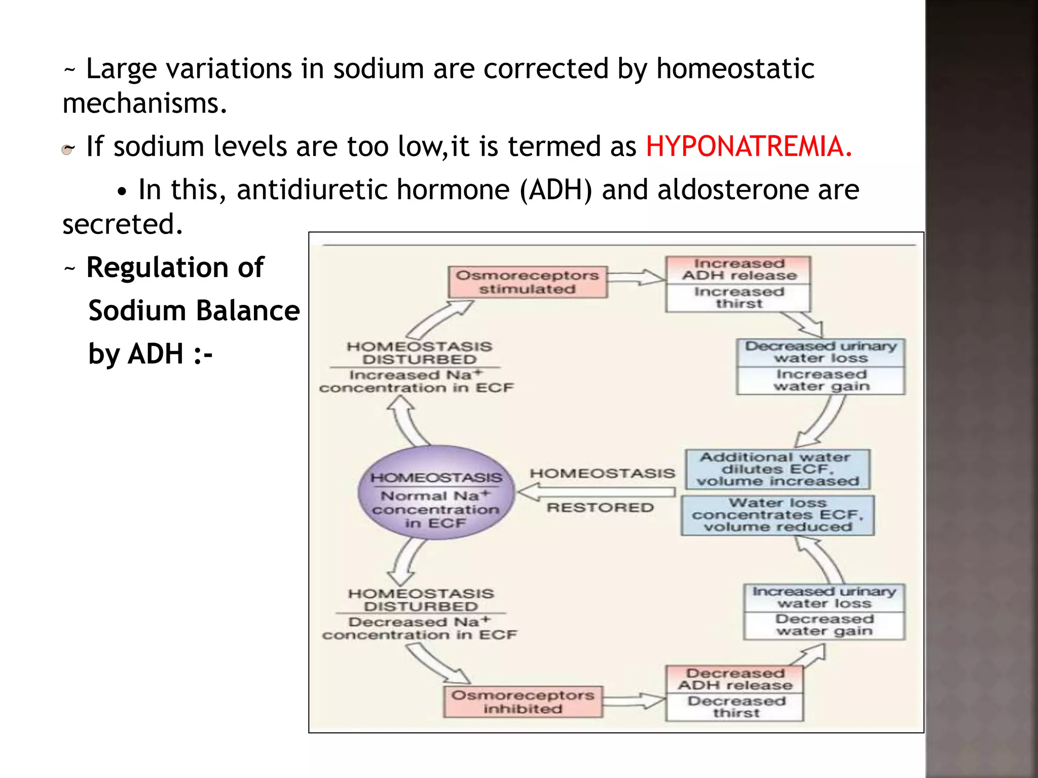 FLUID AND ELECTROLYTE BALANCE | PPTX