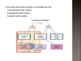 FLUID AND ELECTROLYTE BALANCE | PPTX
