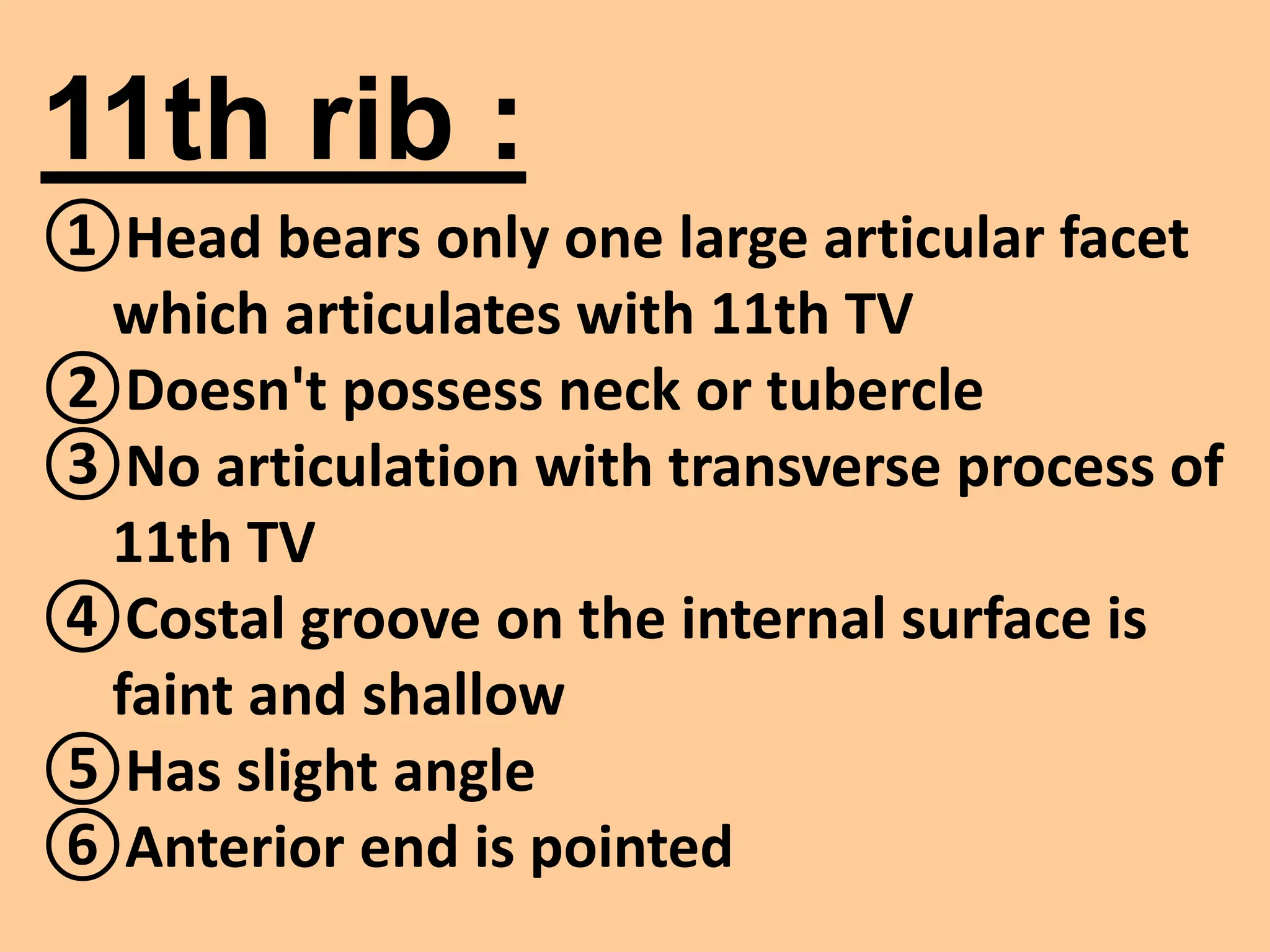 AYESHA BIBI (30) ribs and sternum.pptx