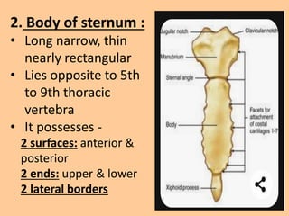 AYESHA BIBI (30) ribs and sternum.pptx