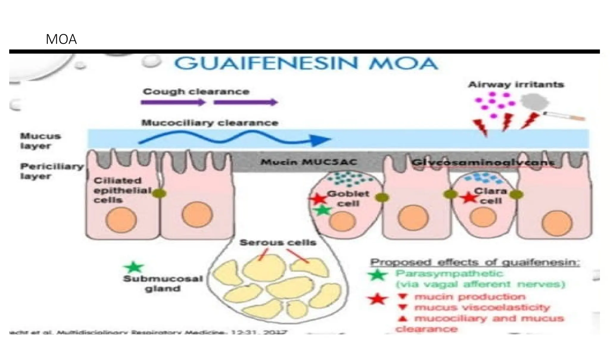 Ayesha Ch ^0 Rahima Pharmacology.pptx in detail | PPT