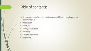 Human glucose-6-phosphate isomerase(GPI) or phosphoglucose isomerase(PGI) | PPTX