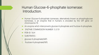 Human glucose-6-phosphate isomerase(GPI) or phosphoglucose isomerase ...
