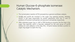 Human glucose-6-phosphate isomerase(GPI) or phosphoglucose isomerase ...