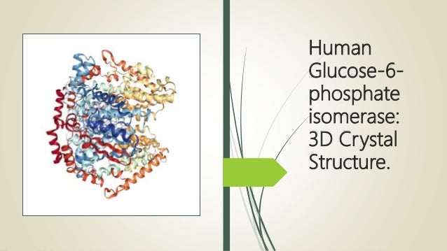 Human glucose-6-phosphate isomerase(GPI) or phosphoglucose isomerase(…