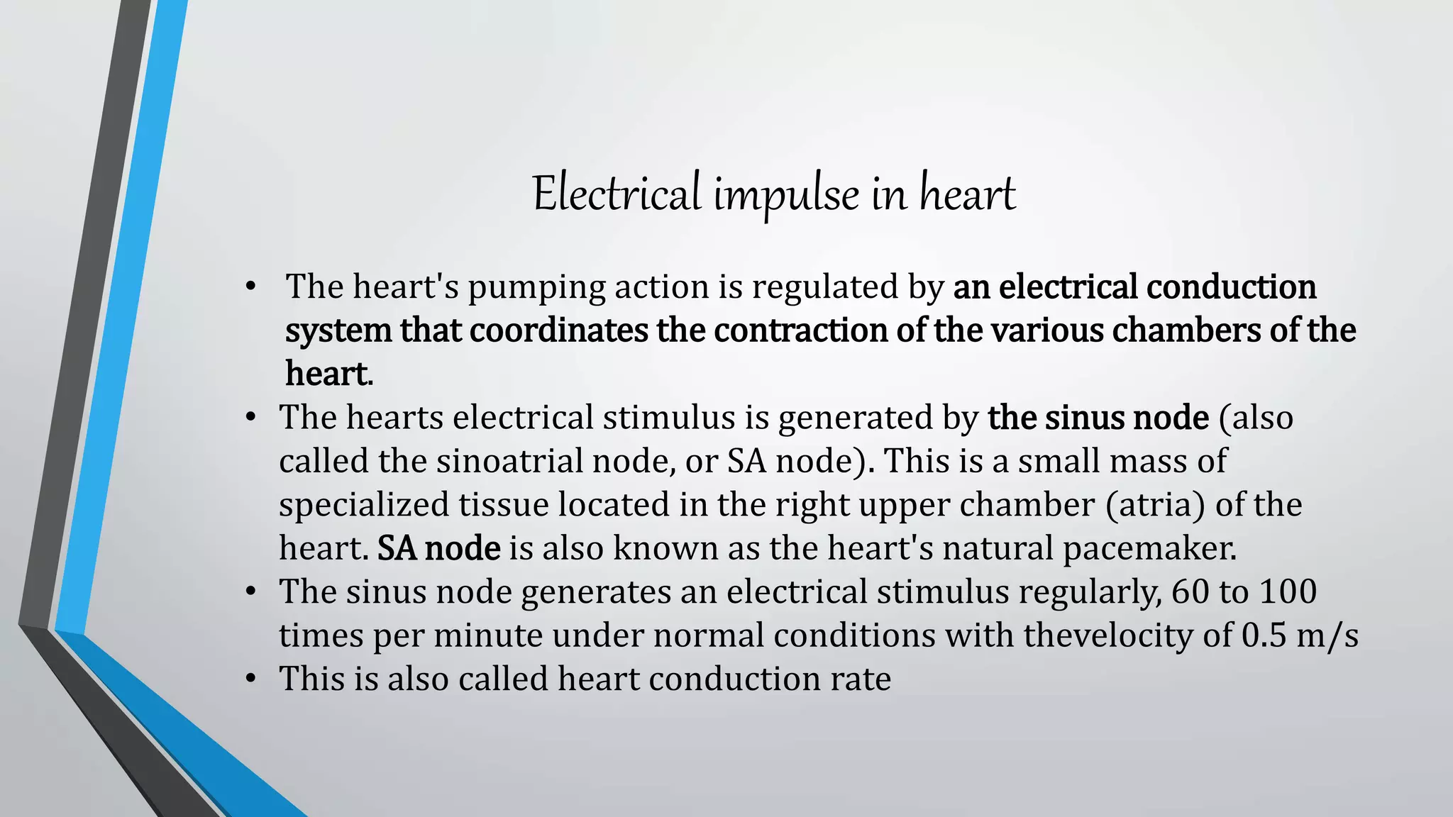 Heart and circulation | PPTX