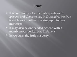 AYESHA SADDIQA...... Family Convolvulaceace.pptx