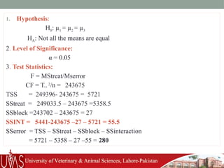 random complete block design stats presentation | PPTX