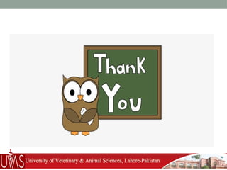 random complete block design stats presentation | PPTX