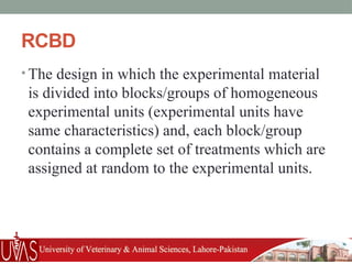 random complete block design stats presentation | PPTX