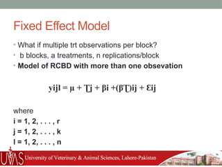 random complete block design stats presentation | PPTX