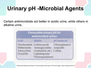 Renal-_UTIs.pdf