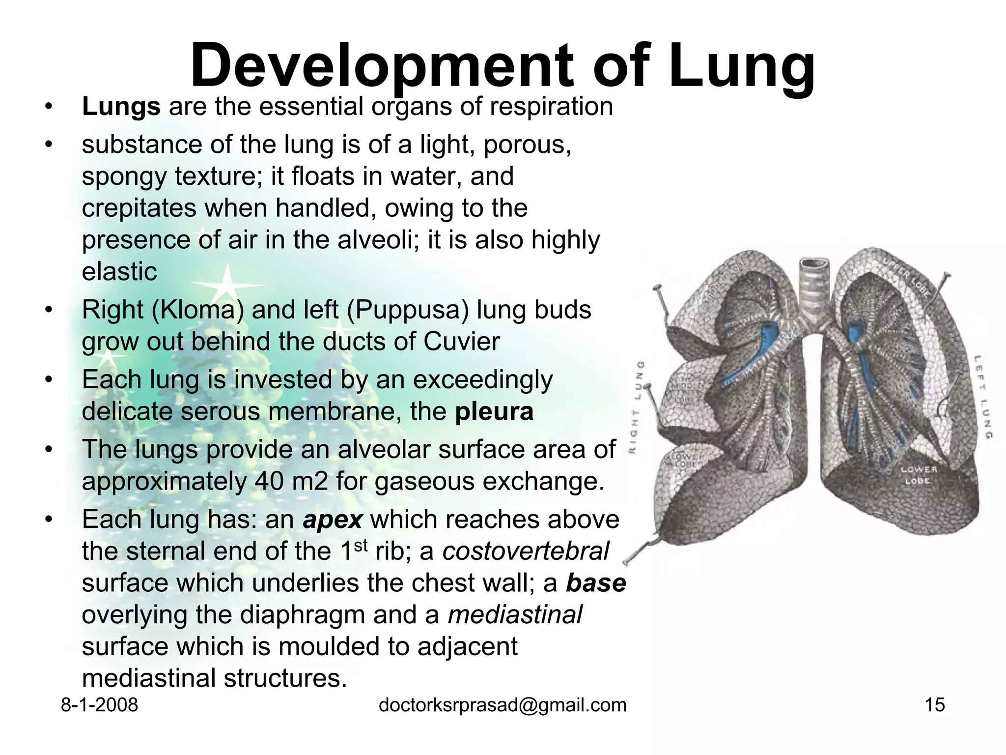 Management of Pranavaha srotas Diseases “Ayurvedic Pulmonology” | PDF