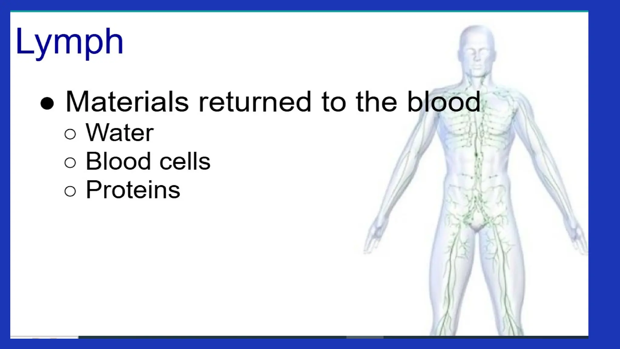 The lymphatic system, Body Systems, Homework help. | PPT