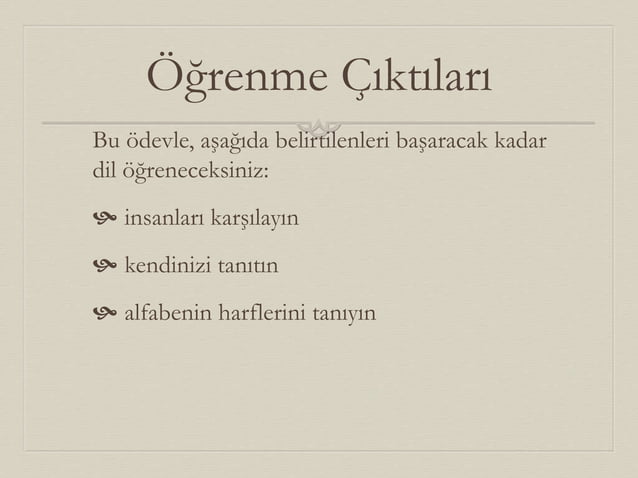 Ayse Taskiran storyboard | PPTX