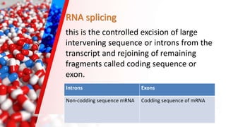 Differential rna processing | PPTX