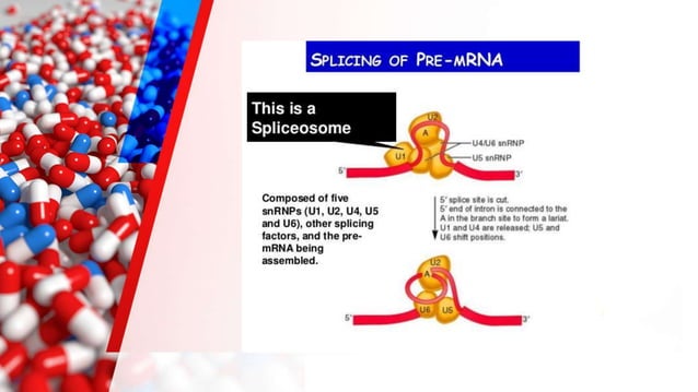 Differential rna processing | PPTX