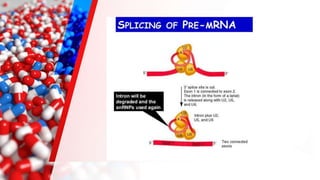 Differential rna processing | PPTX
