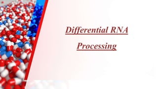 Differential rna processing | PPTX