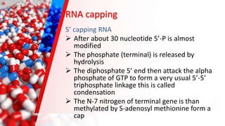 Differential rna processing | PPTX