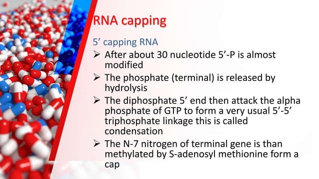 Differential rna processing | PPTX