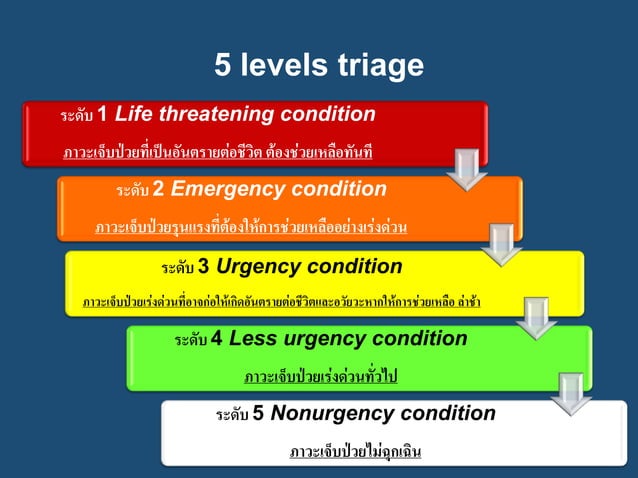 Ayutthaya Triage Scale | PDF