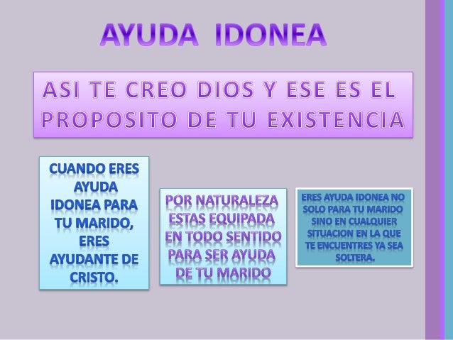 Ayuda idonea