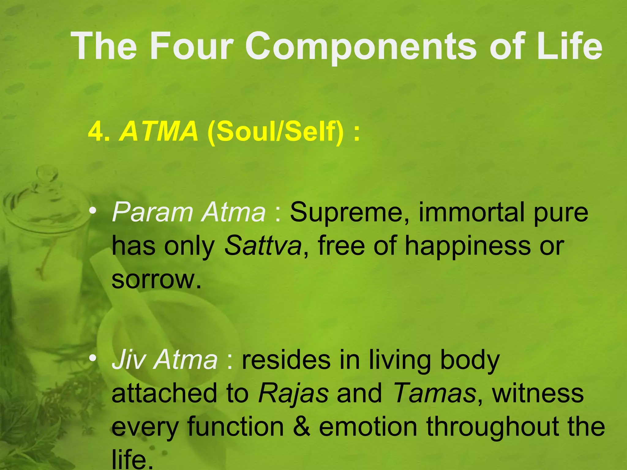 Ayurveda for holistic health copy | PPT