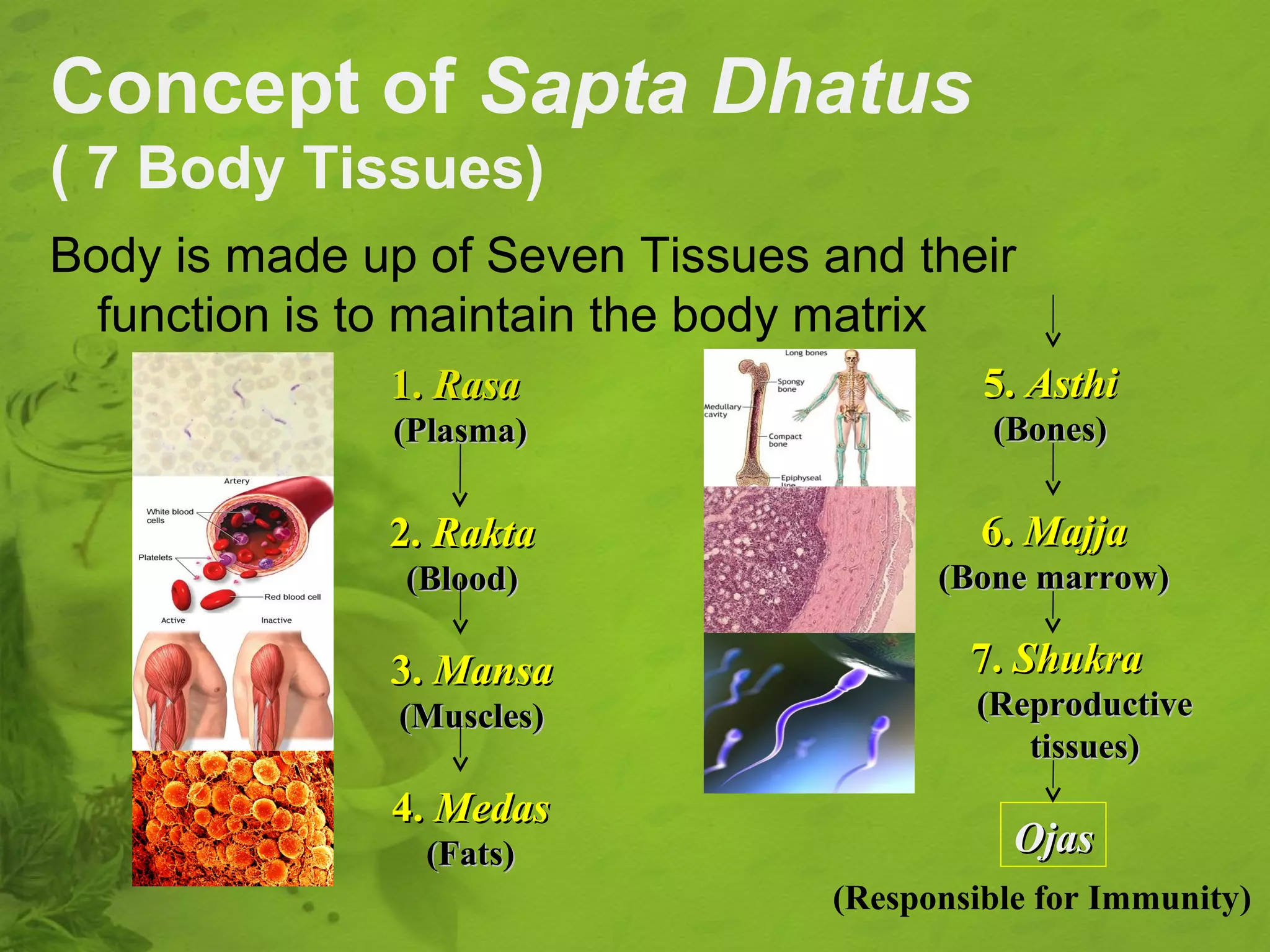 Ayurveda for holistic health copy | PPT