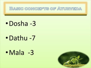 basics of Ayurveda .pdf