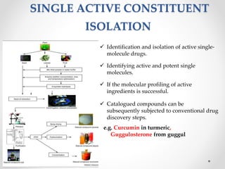 Ayurveda shows a way forward to drug discovery | PPT