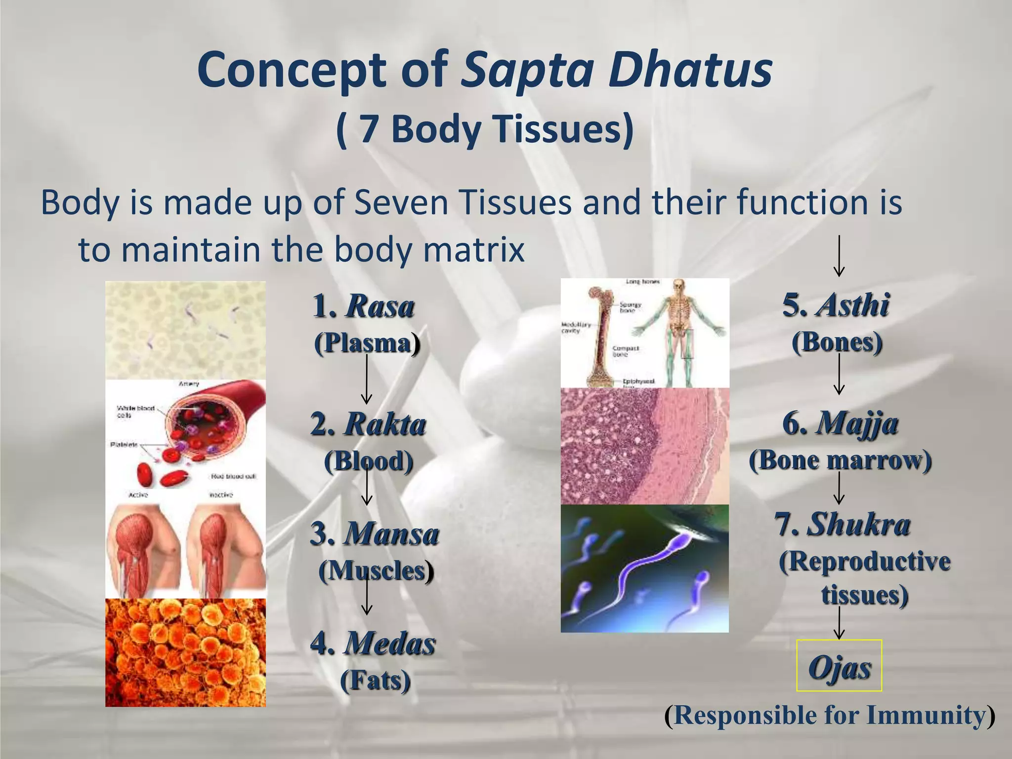 Ayurveda simplified | PPTX