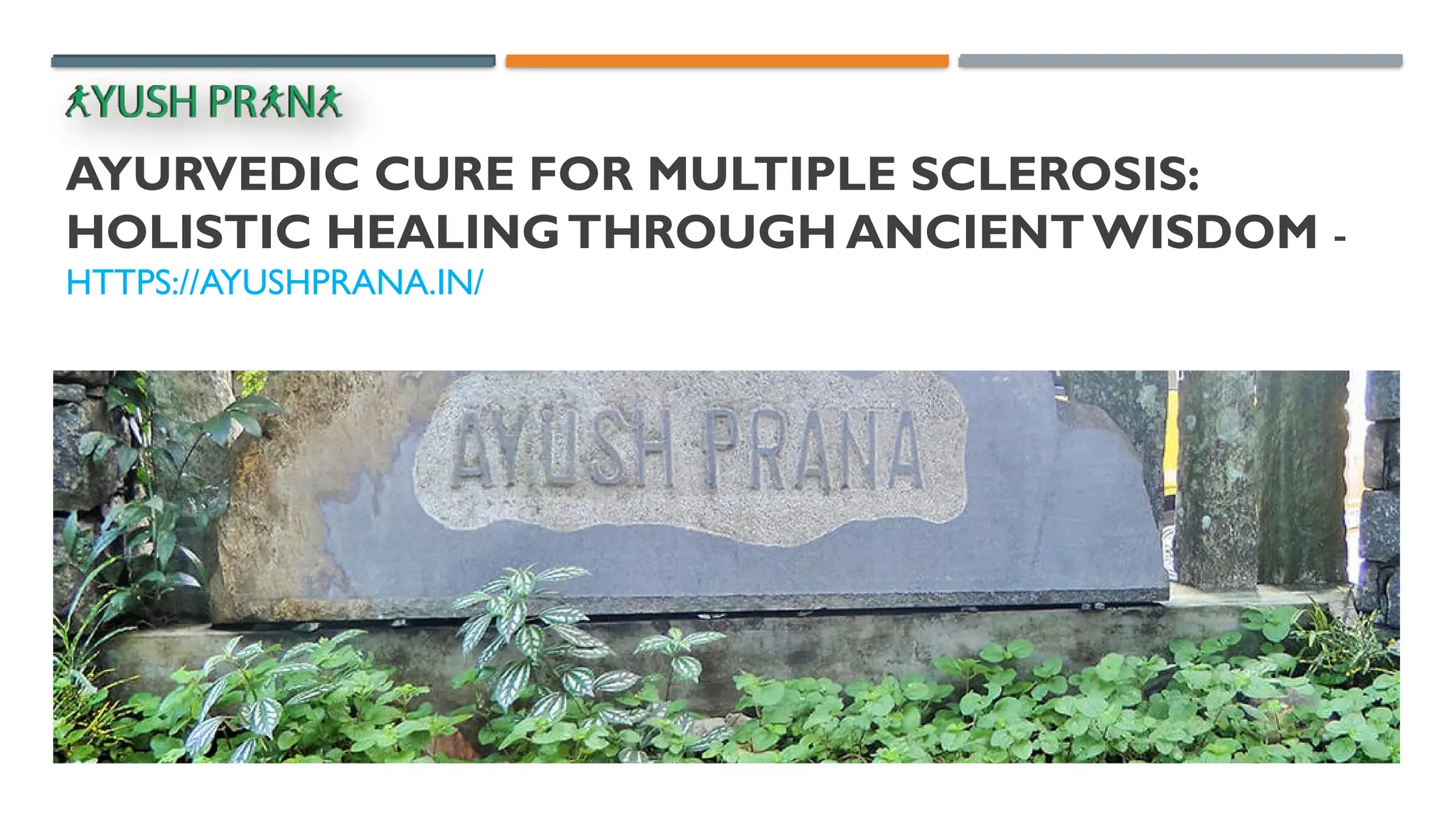Ayurvedic Cure for Multiple Sclerosis: Holistic Healing Through Ancient Wisdom | PPTX