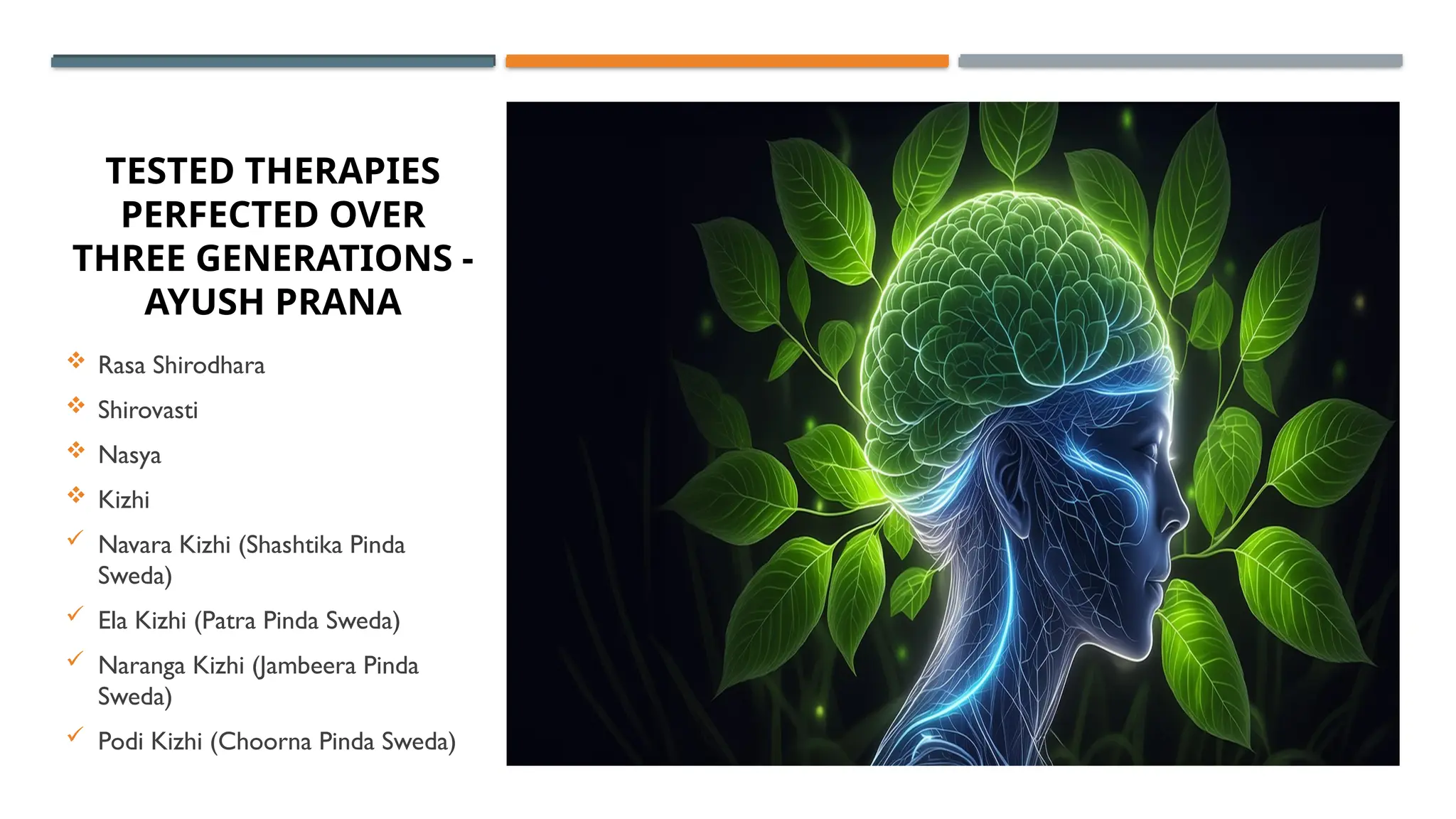 Ayurvedic Cure for Multiple Sclerosis: Holistic Healing Through Ancient Wisdom | PPTX