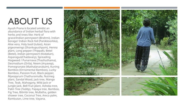 Ayurvedic Cure for Multiple Sclerosis: Holistic Healing Through Ancient ...