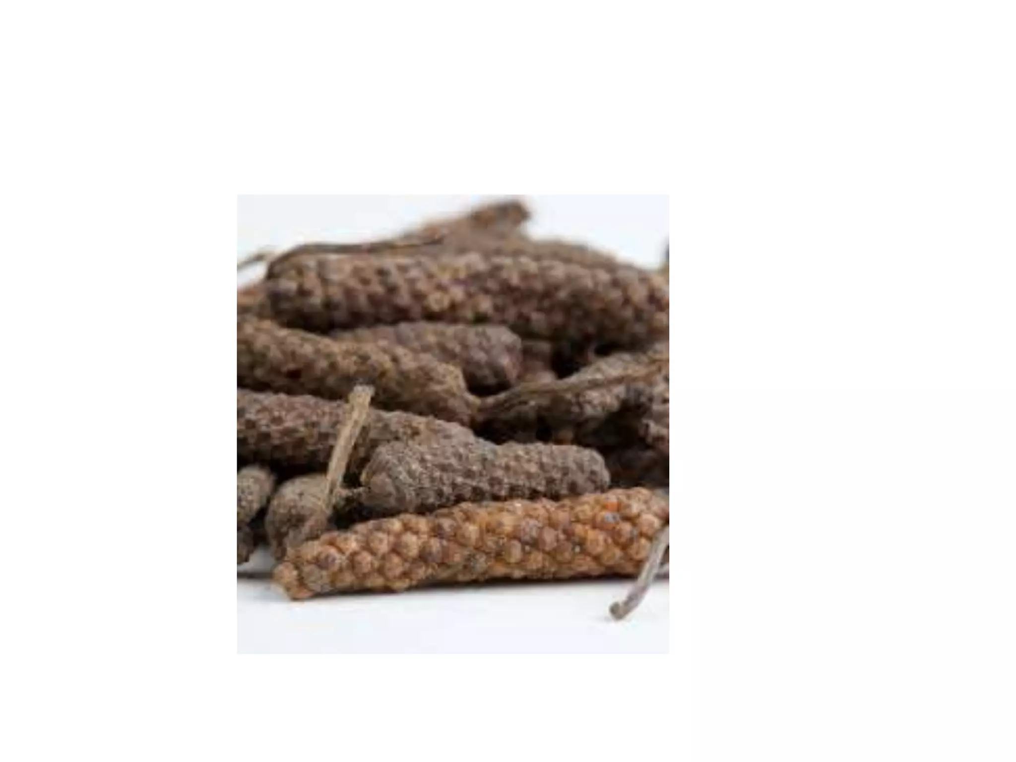 Ayurvedic herb pippali | PPTX