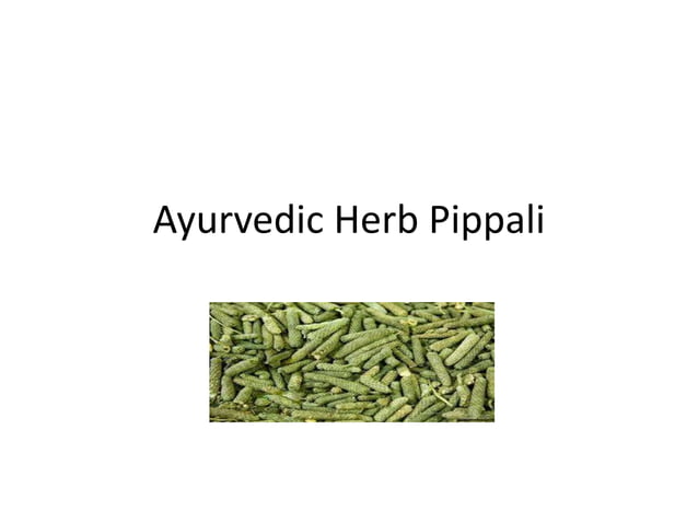 Ayurvedic herb pippali | PPTX