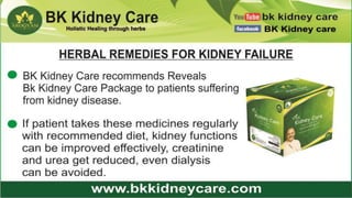 Ayurvedic Doctor For Kidney Disease Treatment In Varanasi,Assam,Sikkim ...
