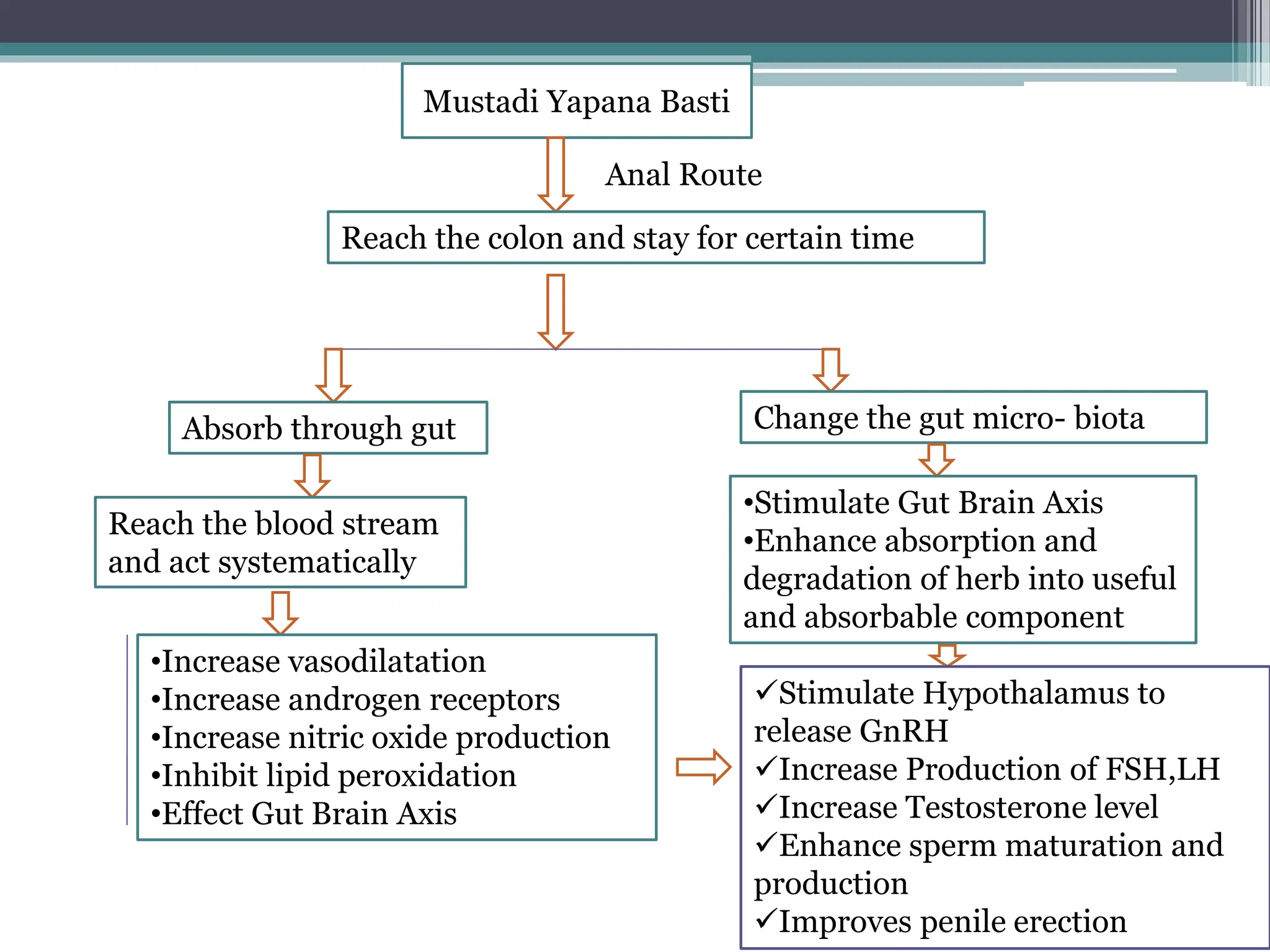 AYURVEDIC MANAGEMENT OF MALE INFERTILITY.pptx