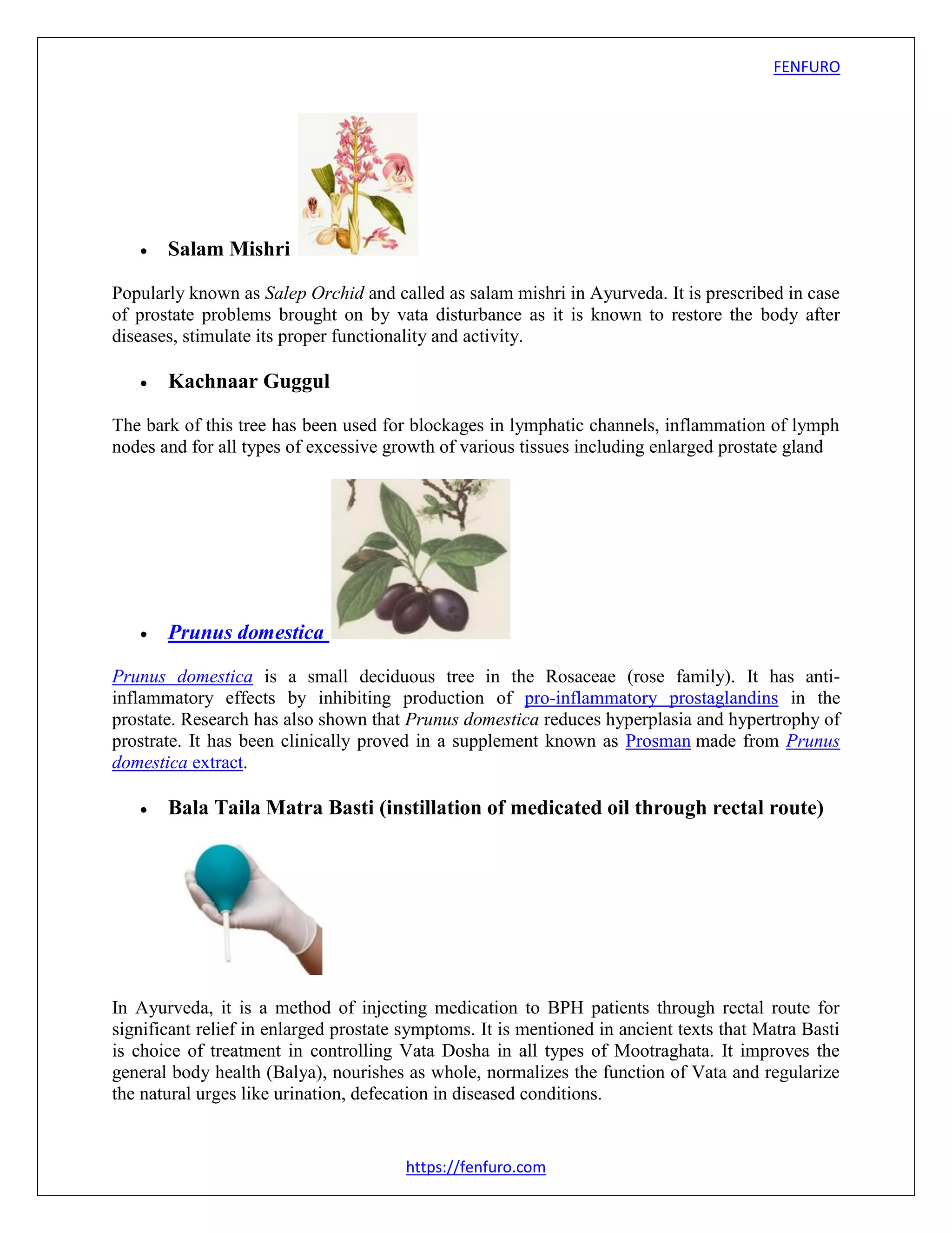 Ayurvedic treatment for bph | PDF
