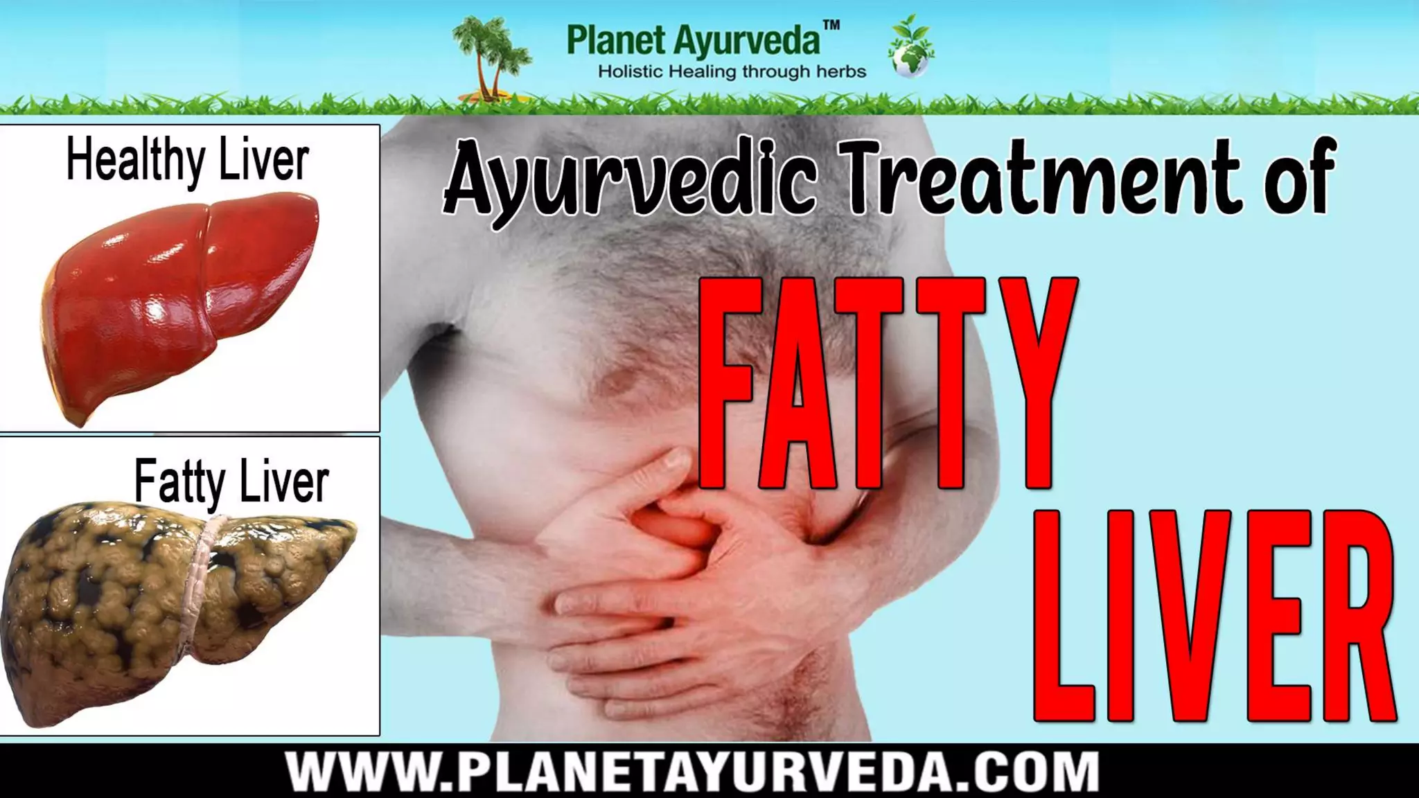 Ayurvedic Treatment for Fatty Liver Cure | PPTX