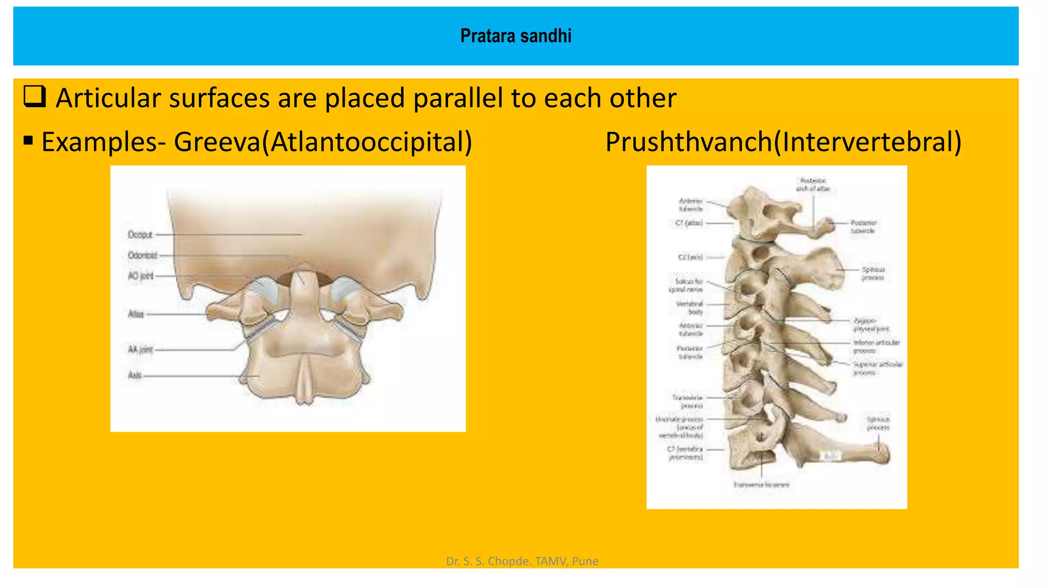 Ayurved Sandhi Prakar(Types of joints as per Ayurved) | PPTX