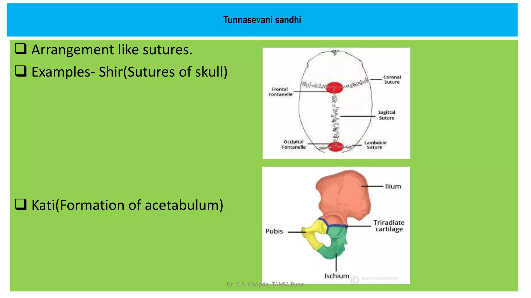 Ayurved Sandhi Prakar(Types of joints as per Ayurved) | PPTX