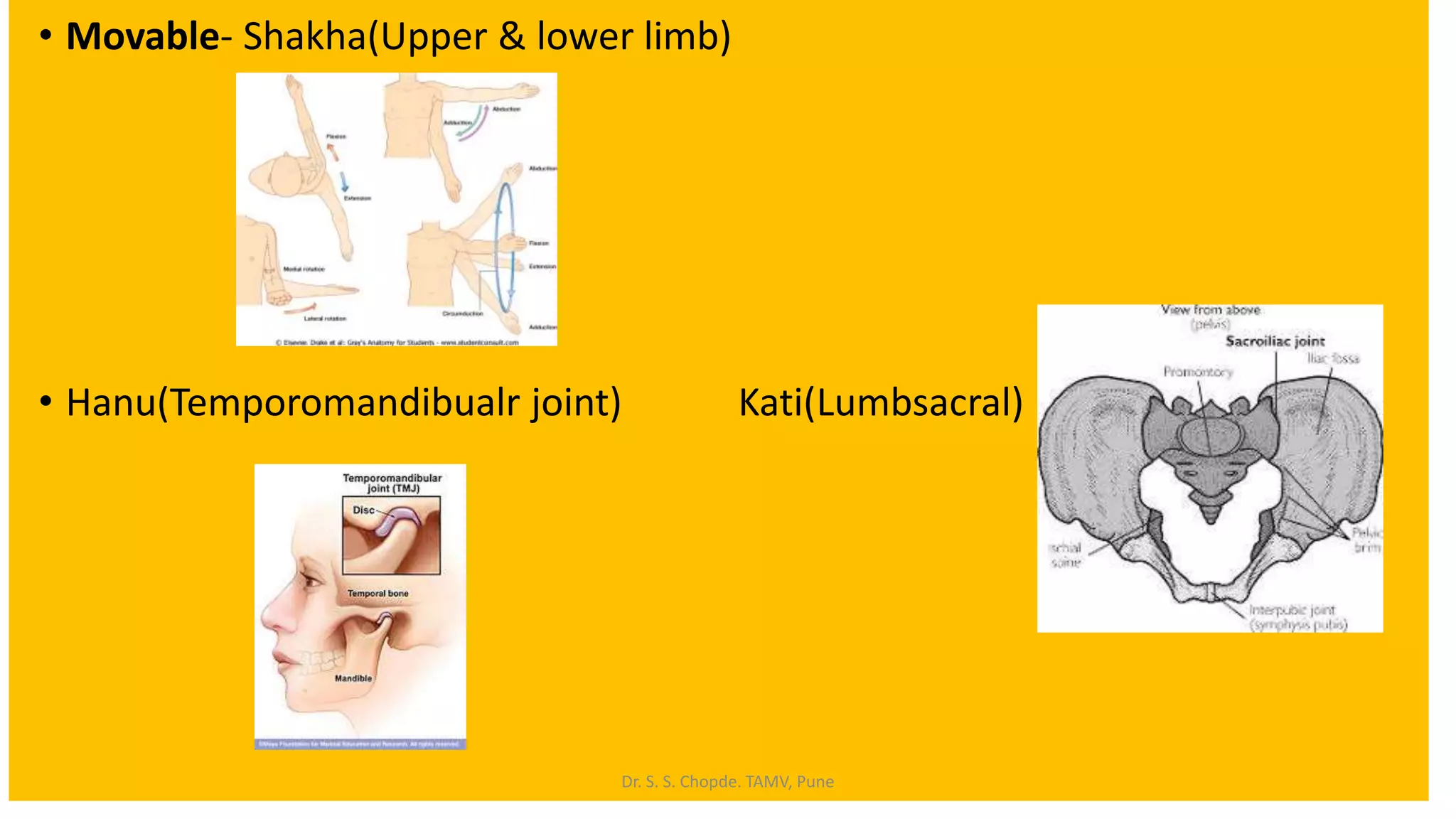 Ayurved Sandhi Prakar(Types of joints as per Ayurved) | PPTX