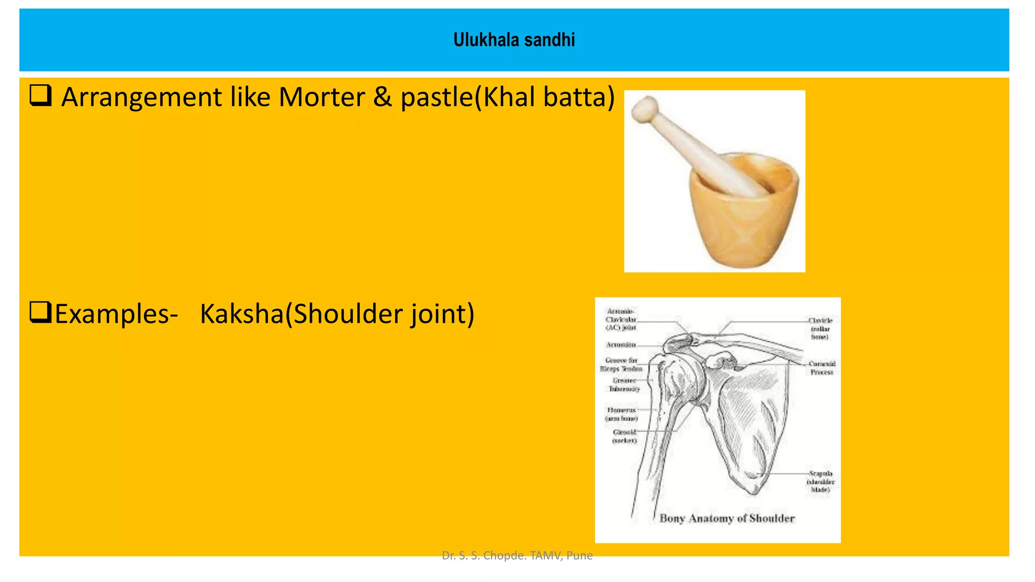 Ayurved Sandhi Prakar(Types of joints as per Ayurved) | PPTX